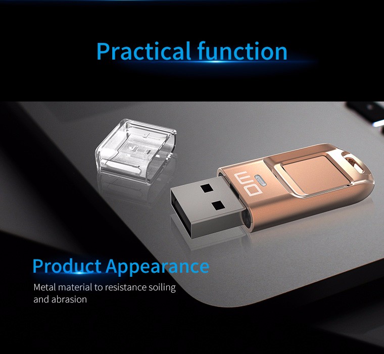 DM F2 Biometric Fingerprint Encrypted USB Flash Drive